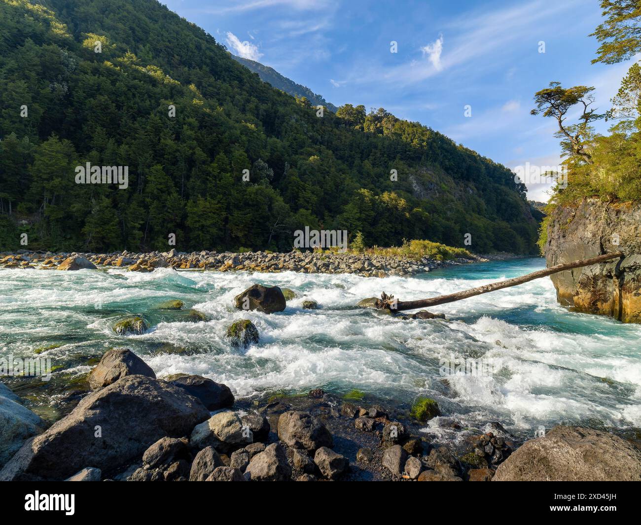 Wild river between rocks and forests, Saltos del Rio Petrohue ...