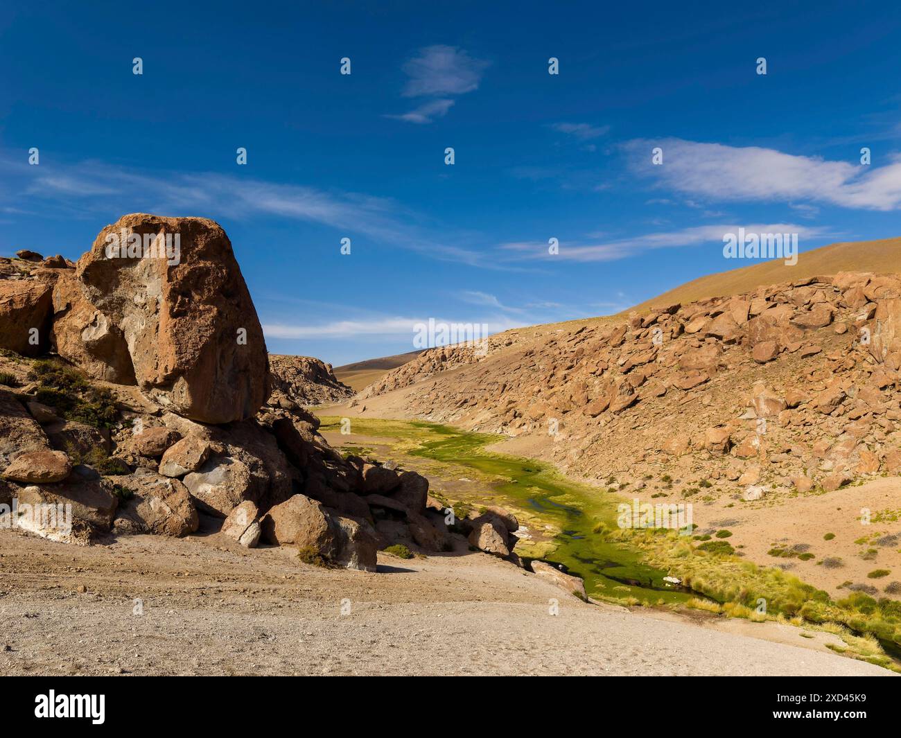 Highland landscape, Atacama Desert, Chile Stock Photo - Alamy