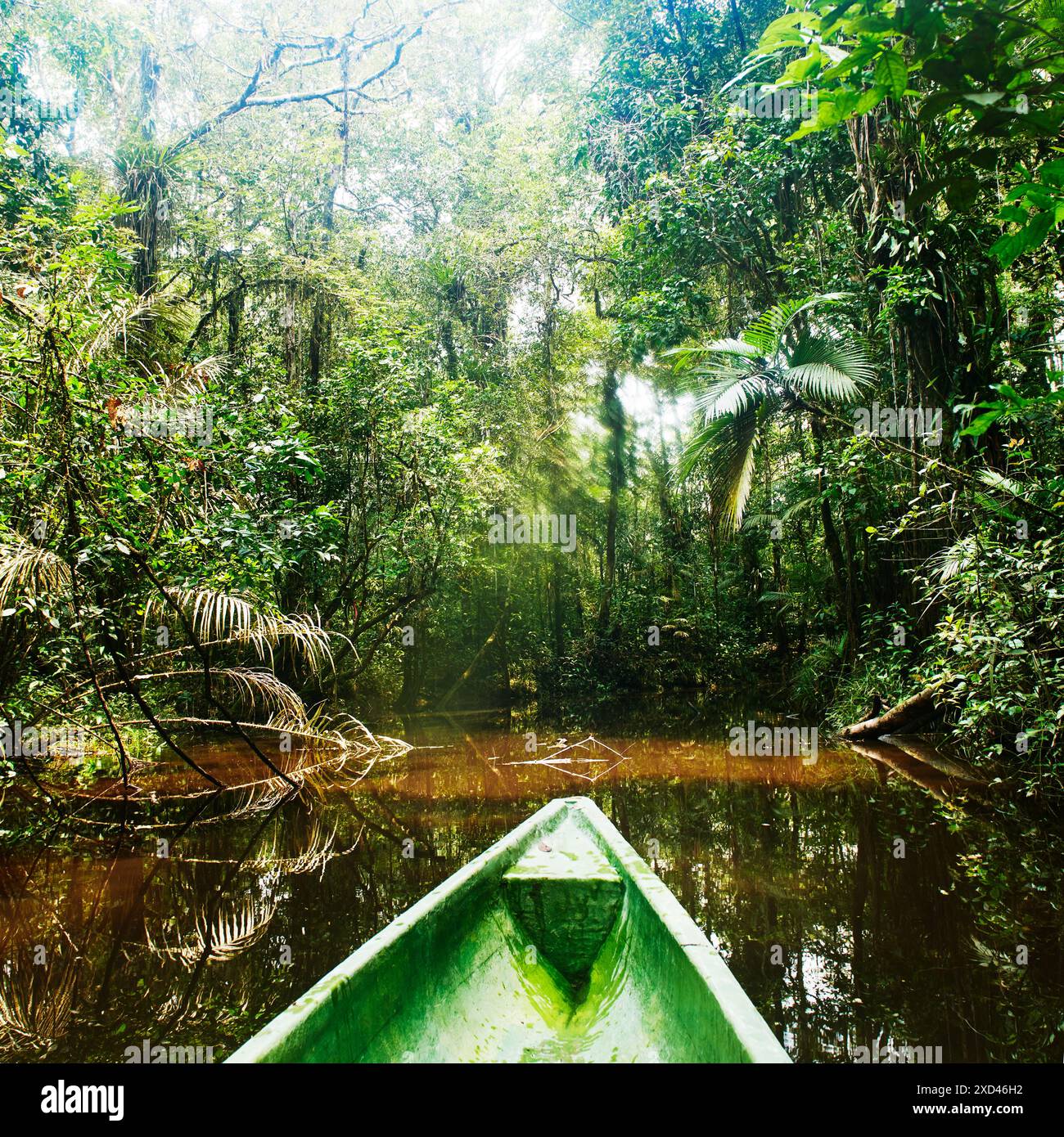 Wooden canoe traveling through the rivers of Cuyabeno wildlife reserve ...