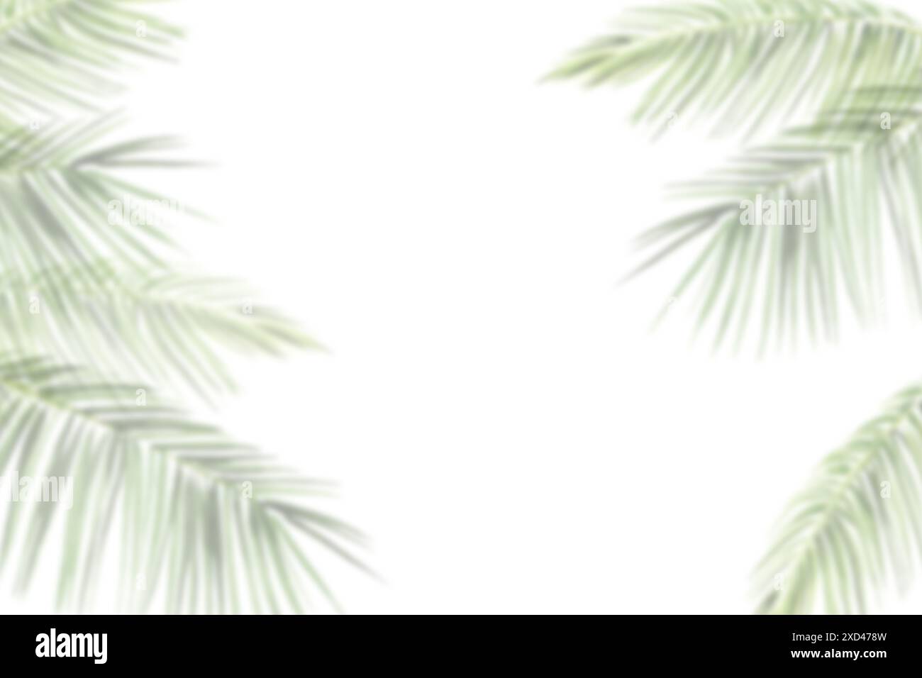 Palm Trees Tumblr Horizontal