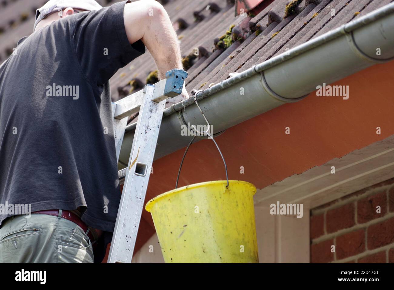 Gutter, worker, ladder, bucket, dirt, cleaning, A man stands on the ...