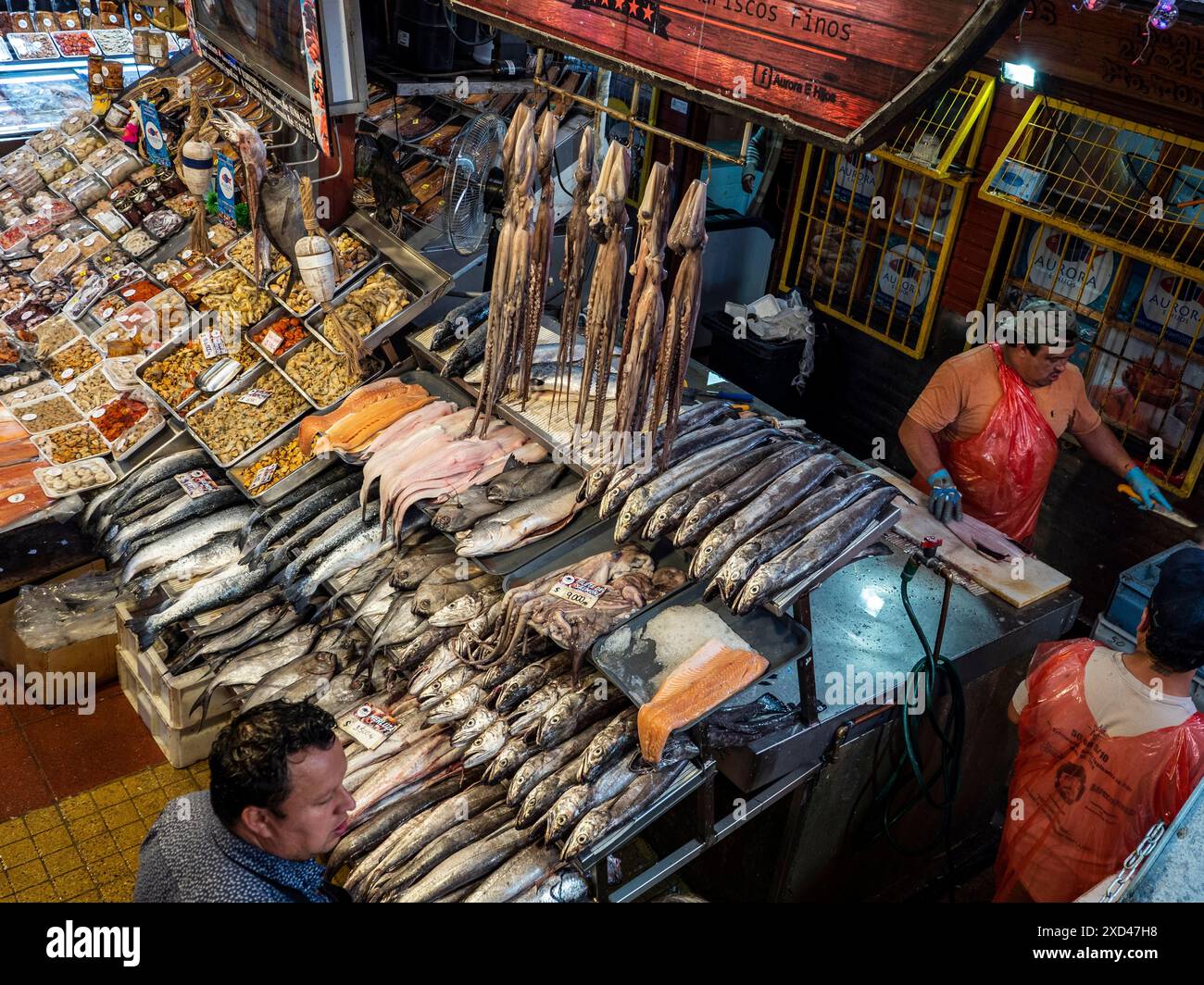 Angelmo chile hi-res stock photography and images - Alamy