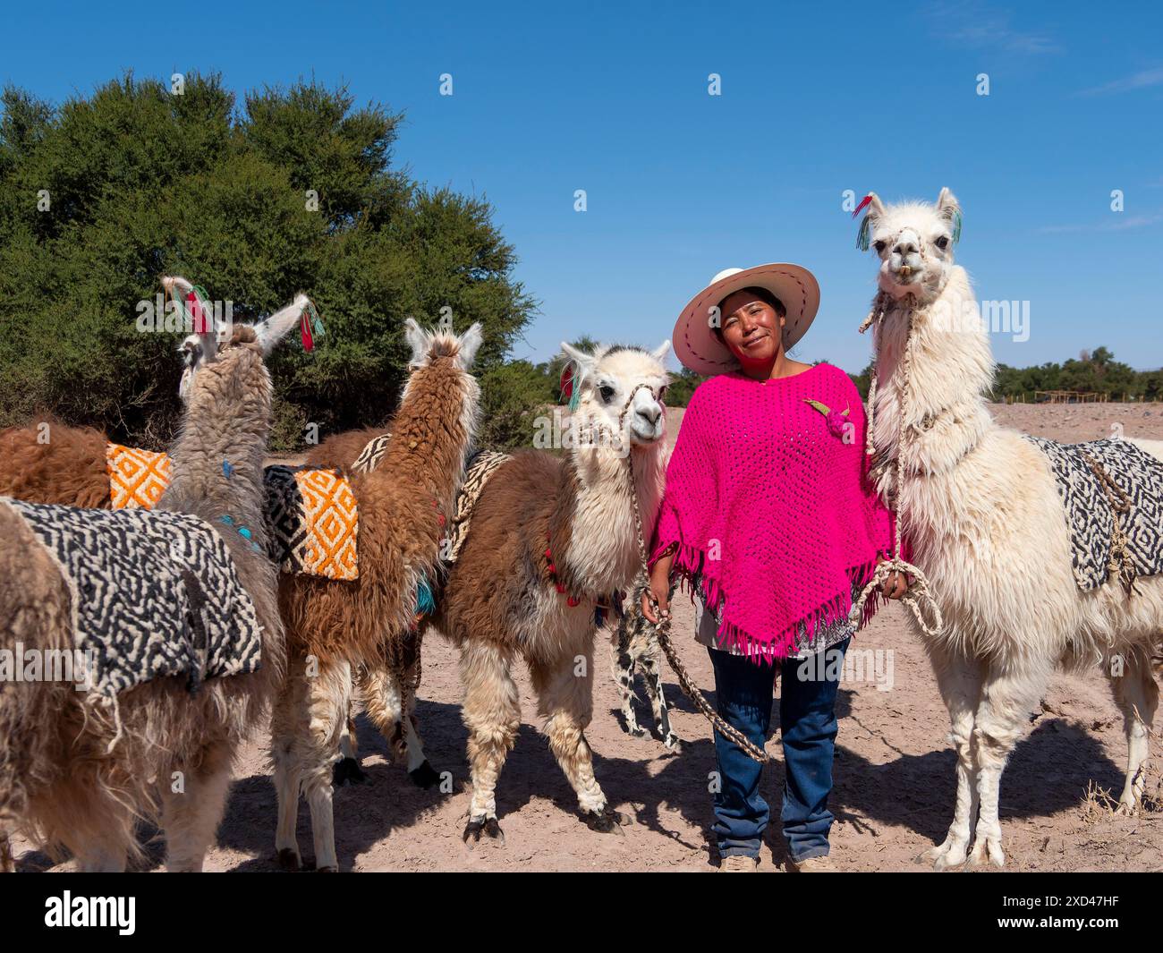 Chile indigenous woman hi-res stock photography and images - Alamy