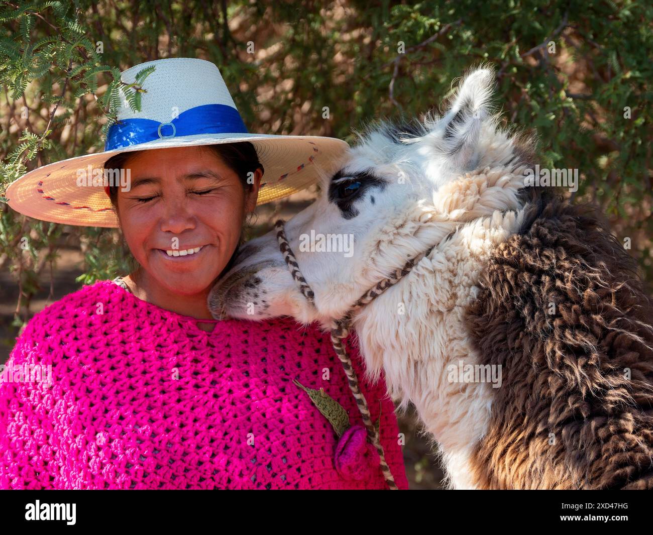Indigenous woman of the Atacameno minority with llama, Atacama Desert ...