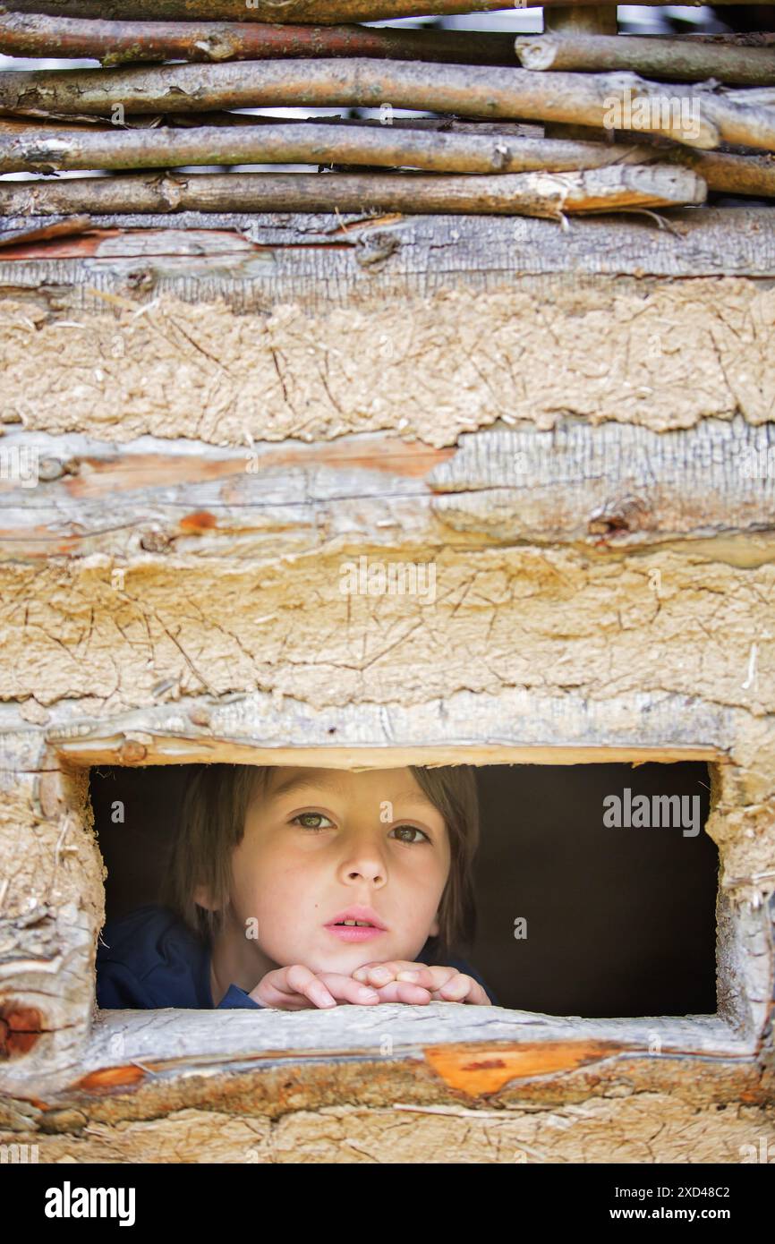 Curious child, boy, peering from a small window in wooden shrub, making ...