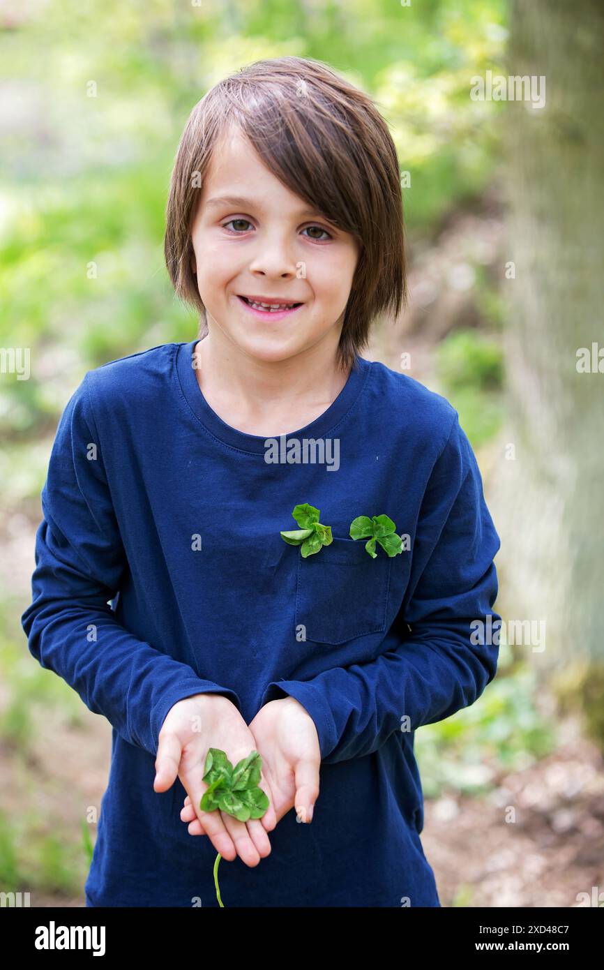 Child hands holding lucky four leaf clover. Boy have many four leaf ...