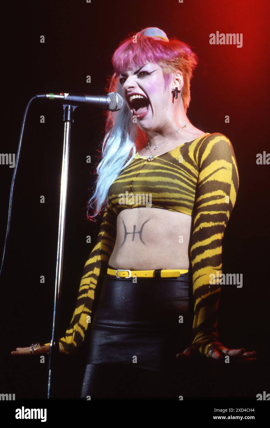 German punk singer nina hagen hi-res stock photography and images - Alamy