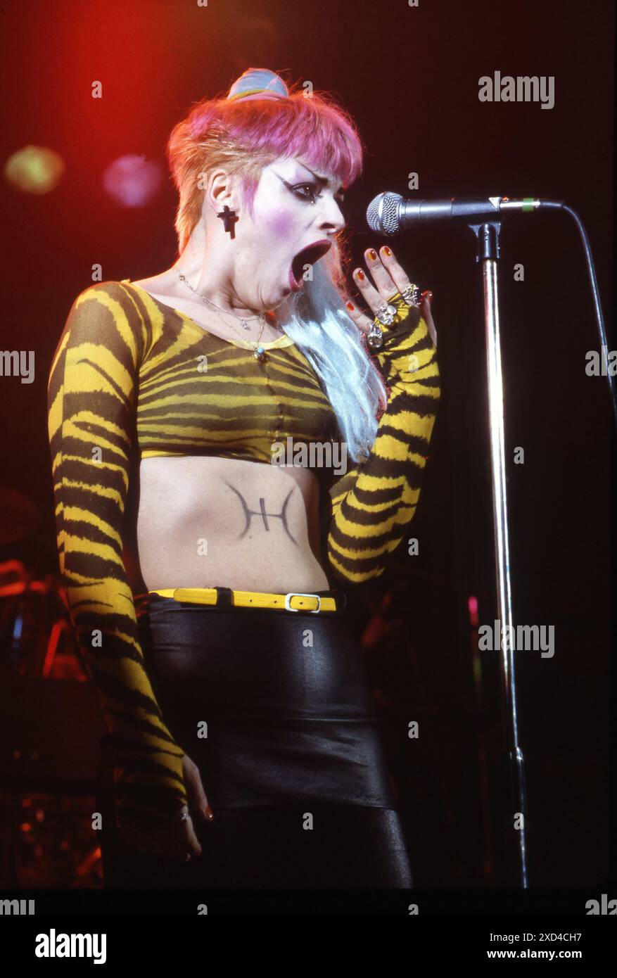 German singer and actress Nina Hagen in concert in London 1984 Stock ...