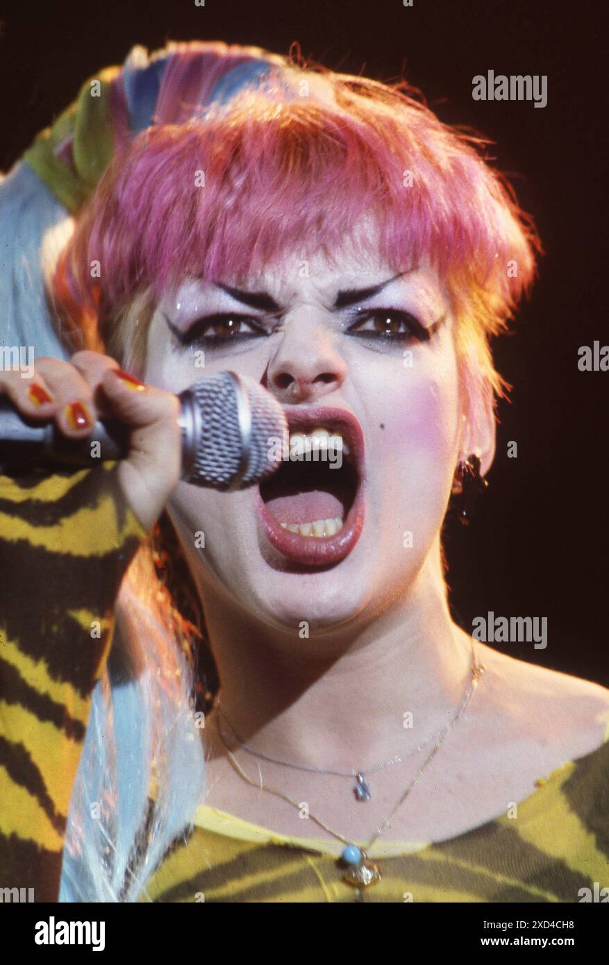 Nina hagen hi-res stock photography and images - Alamy
