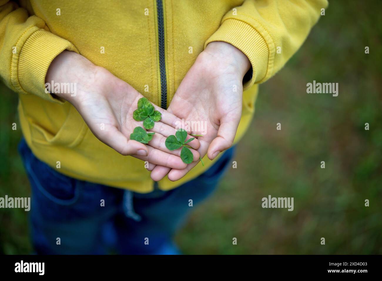 Boy hold shamrock leaf hi-res stock photography and images - Alamy