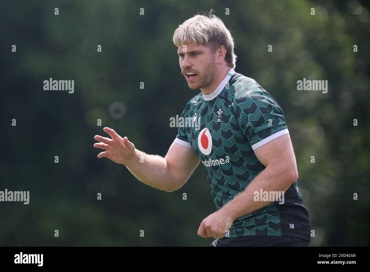 Aaron Wainwright of Wales looks on. Wales rugby team training at the ...