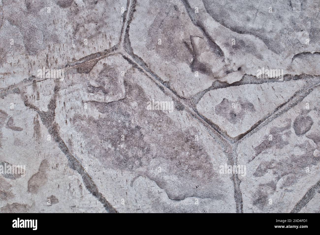 Stamped concrete tile mosaic pattern texture patio driveway decor color ...