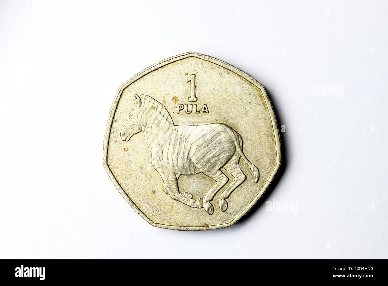 Botswana 1 Pula coin Stock Photo - Alamy