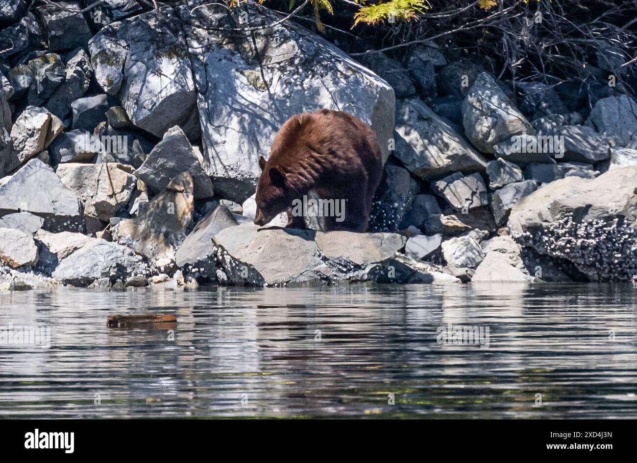 Campbell River CAN, Kanada / Canada, Urlaubseindruecke und ...