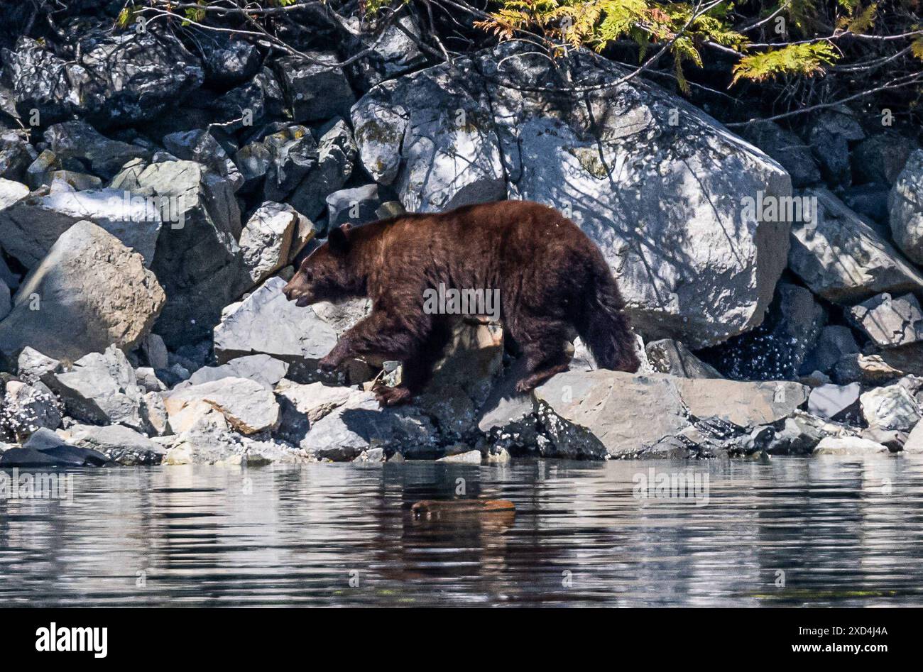 Campbell River CAN, Kanada / Canada, Urlaubseindruecke und ...