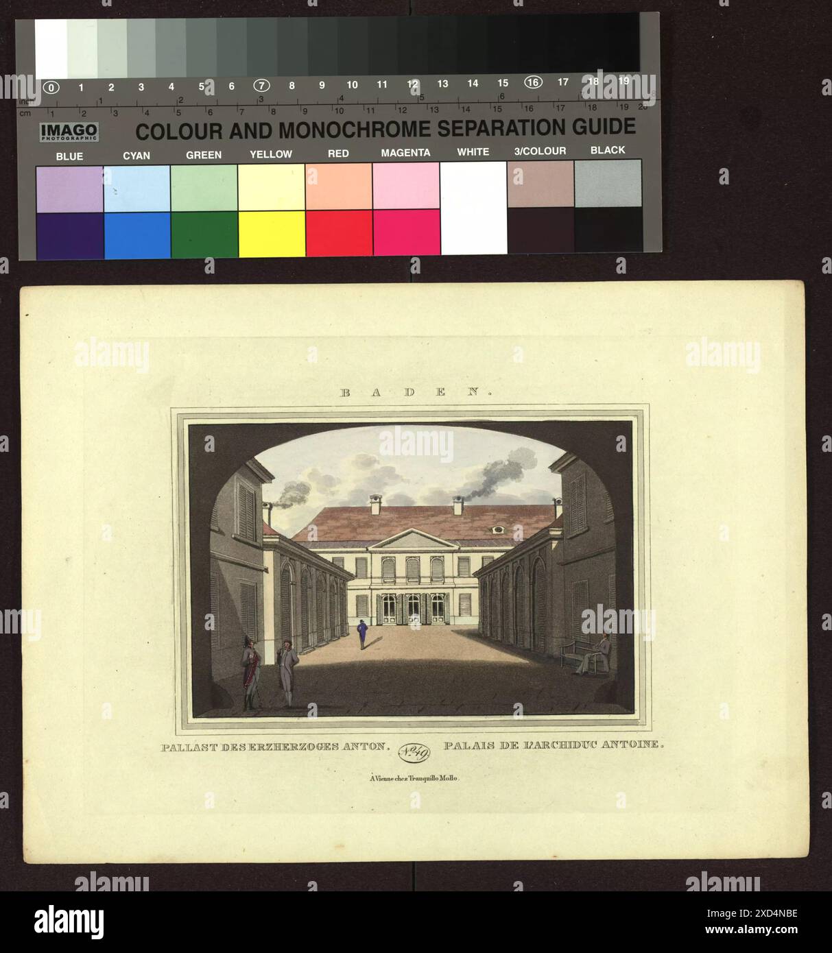 Illustration of the Palace of Archduke Anton in Baden, Blatt 49 from ...