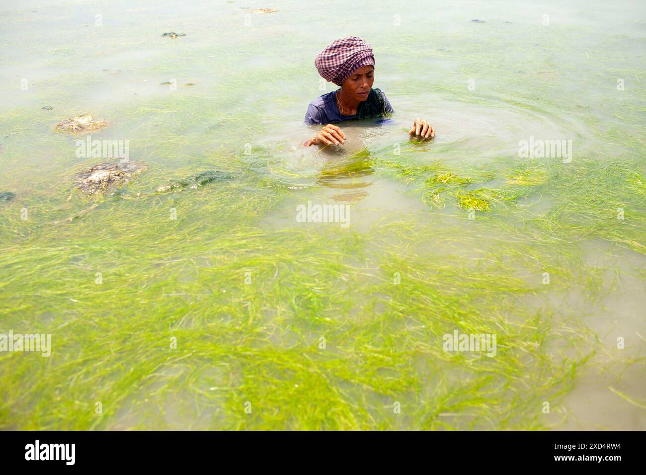 Dhaka, Dhaka, Bangladesh. 20th June, 2024. Tourists are walking through ...