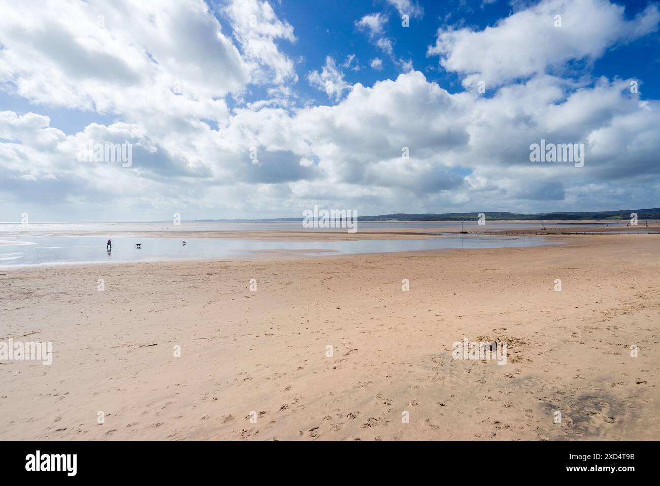 Golden sandy beach at Exmouth Devon England UK Stock Photo - Alamy