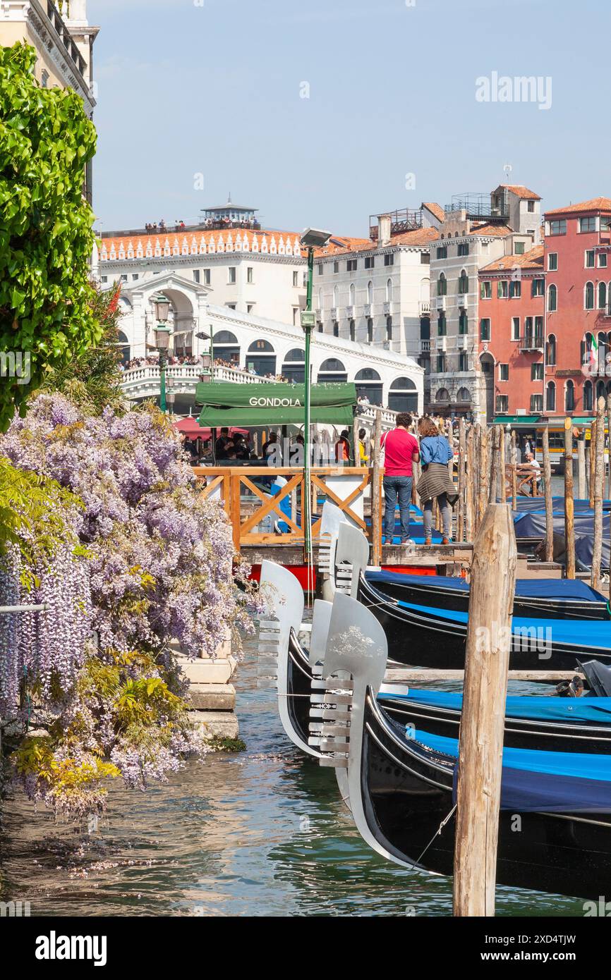 Wisteria in spring in venice hi-res stock photography and images - Alamy