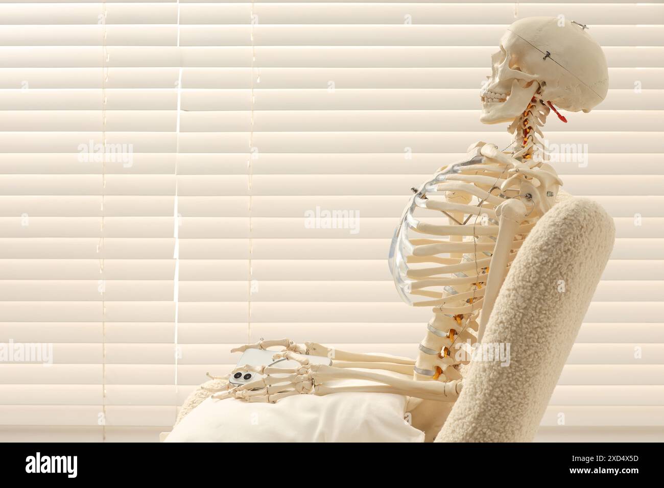 Skeleton relaxing in chair hi-res stock photography and images - Alamy