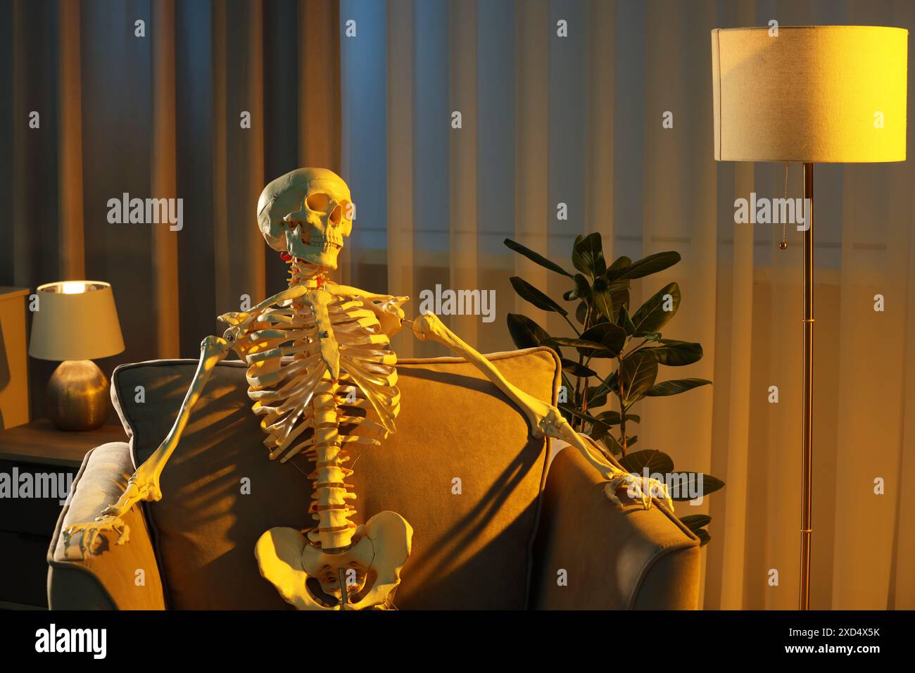 Skeleton sitting hi-res stock photography and images - Alamy