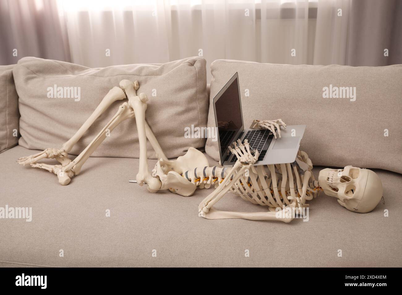 Waiting concept. Human skeleton with laptop on sofa indoors Stock Photo ...