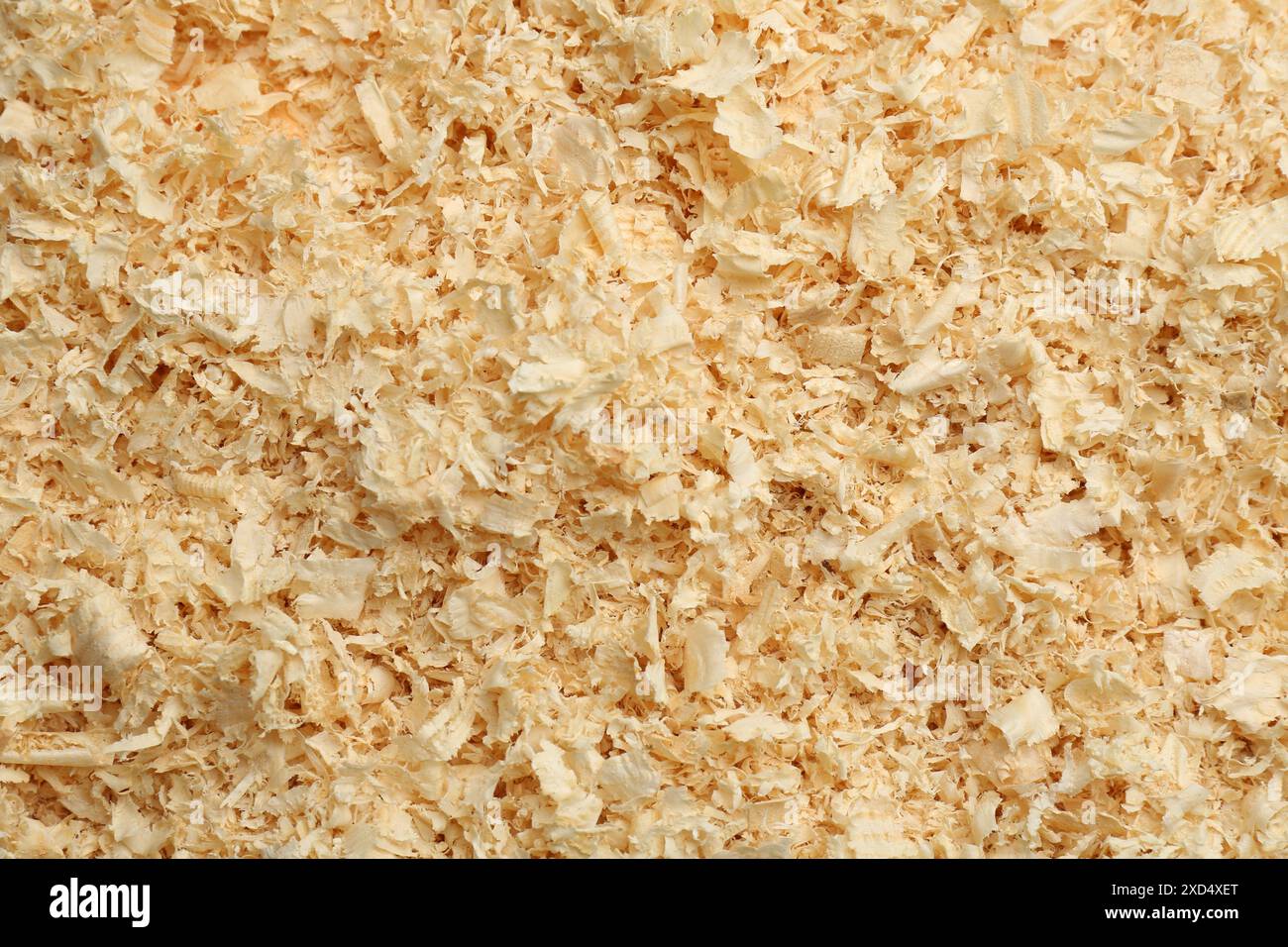 Dry natural sawdust as background, top view Stock Photo - Alamy