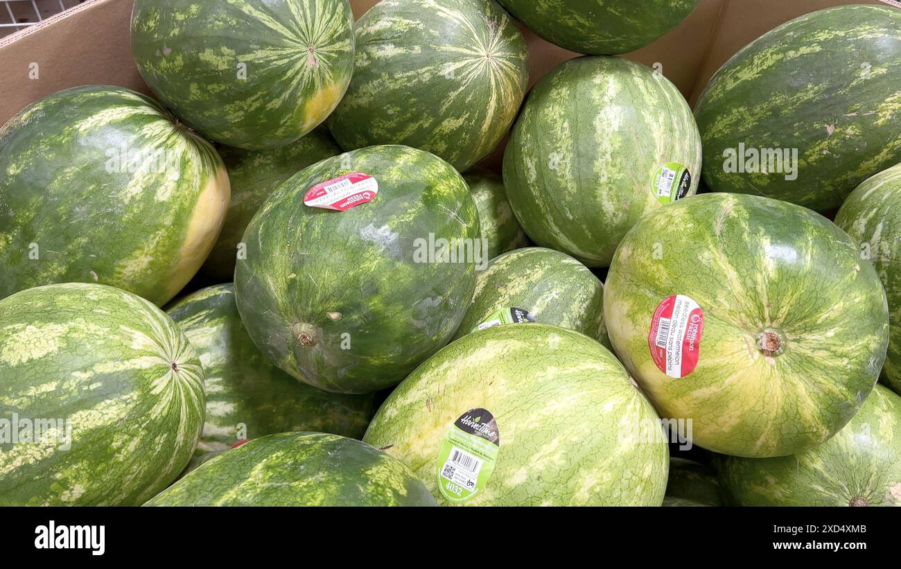 Fresh Watermelons on Display at Sams Club Stock Photo - Alamy