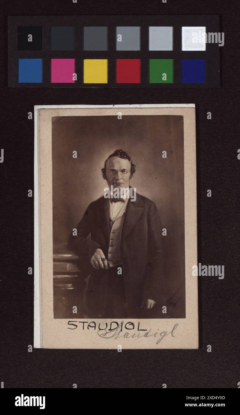 Portrait of Josef Staudigl (1807–1861), male singer, based on a ...