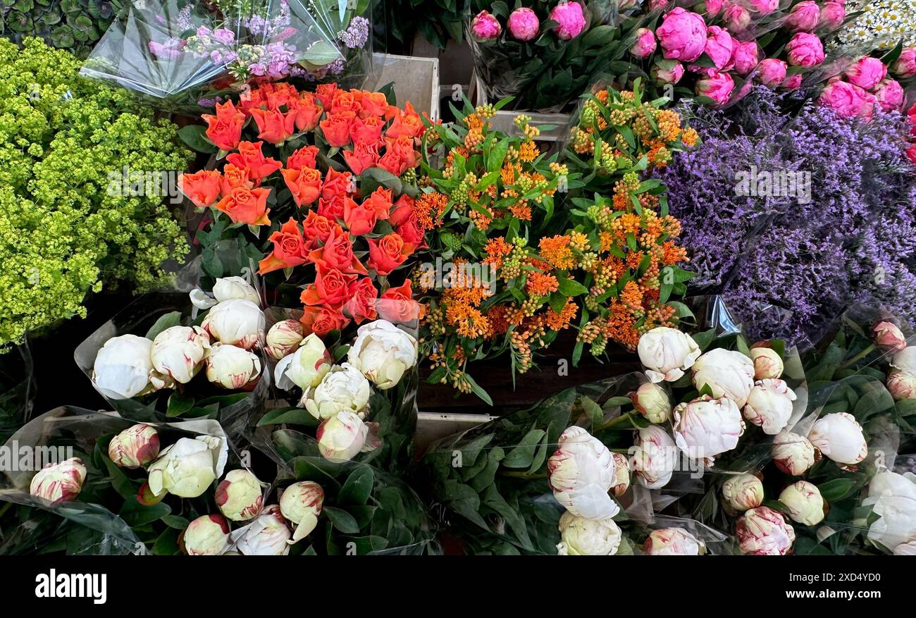 Beautiful assortment fresh floral hi-res stock photography and images ...