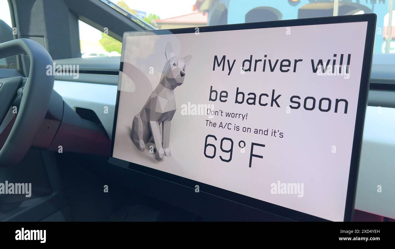Tesla Dog Mode Displaying Driver Return Message and Cabin Temperature ...