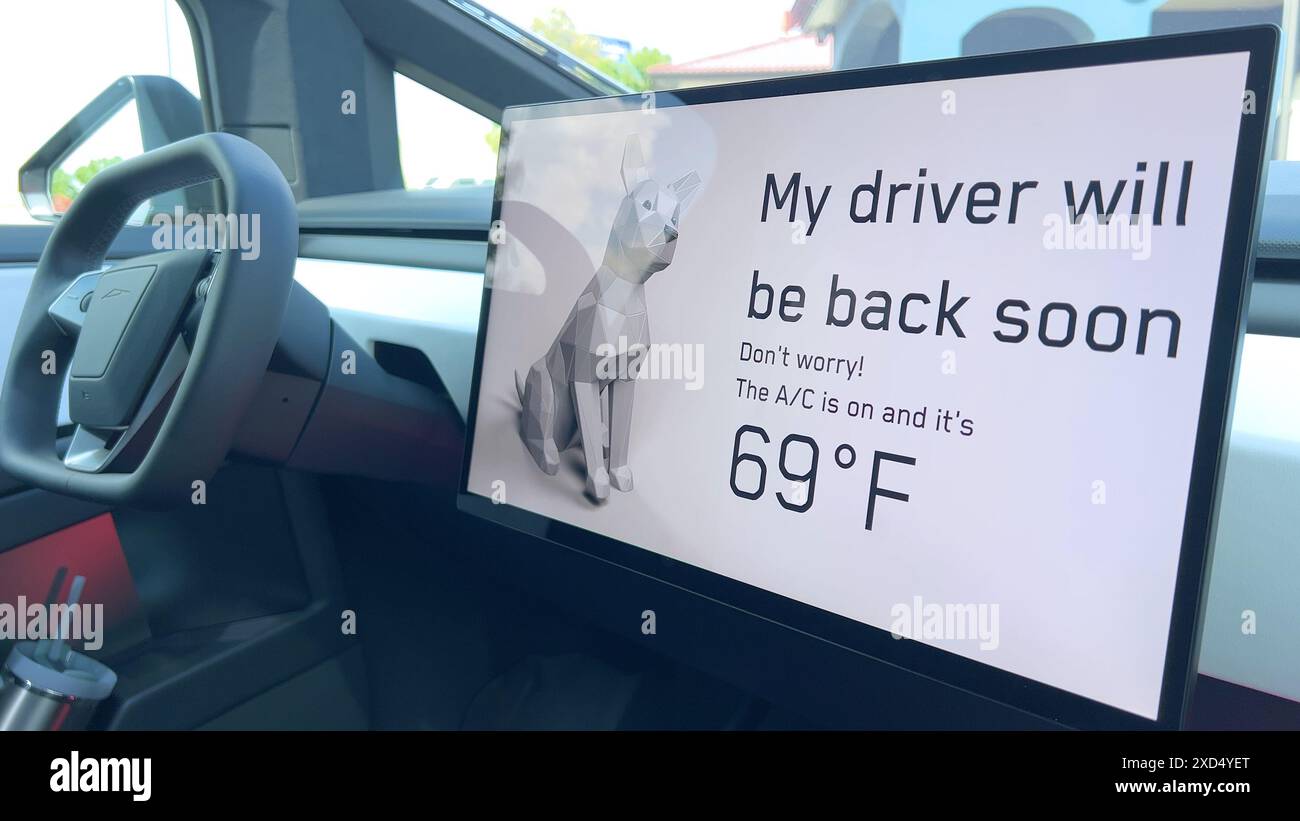Tesla Dog Mode Displaying Driver Return Message and Cabin Temperature ...