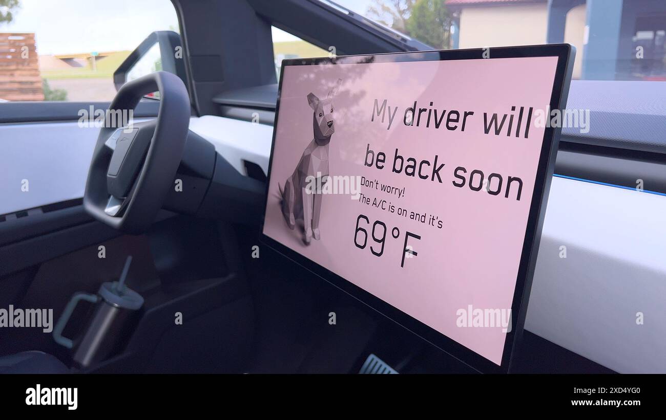 Tesla Dog Mode Displaying Driver Return Message and Cabin Temperature ...