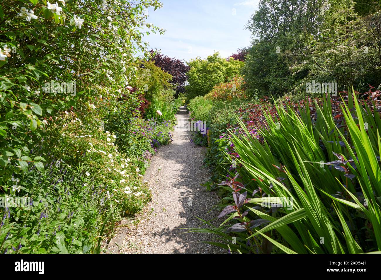 Scenic view of a serene English garden pathway lined with lush greenery ...