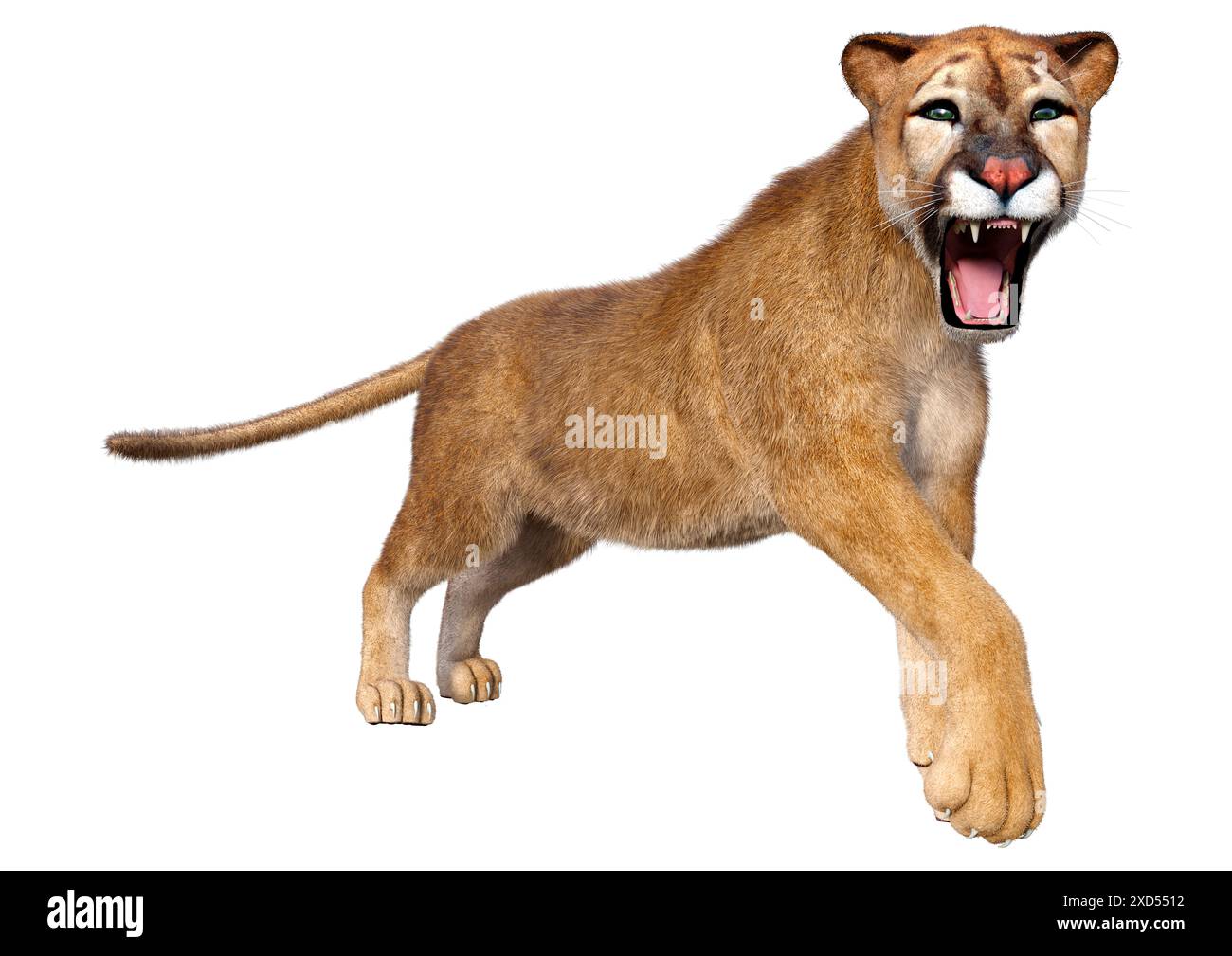 3D rendering of a big cat puma isolated on white background Stock Photo ...