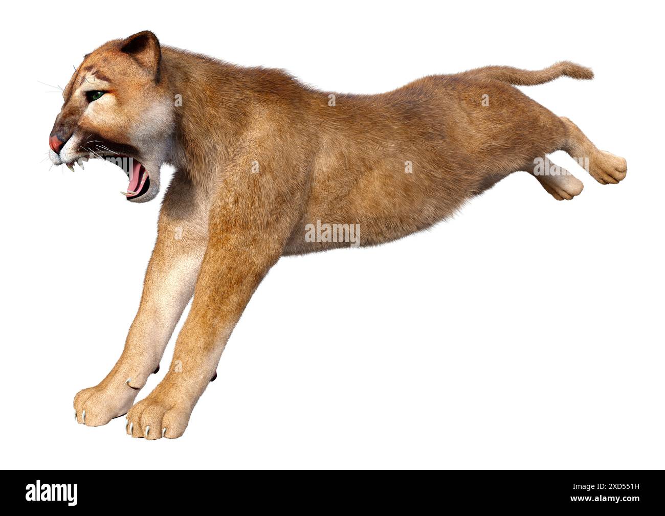 3D rendering of a big cat puma isolated on white background Stock Photo ...