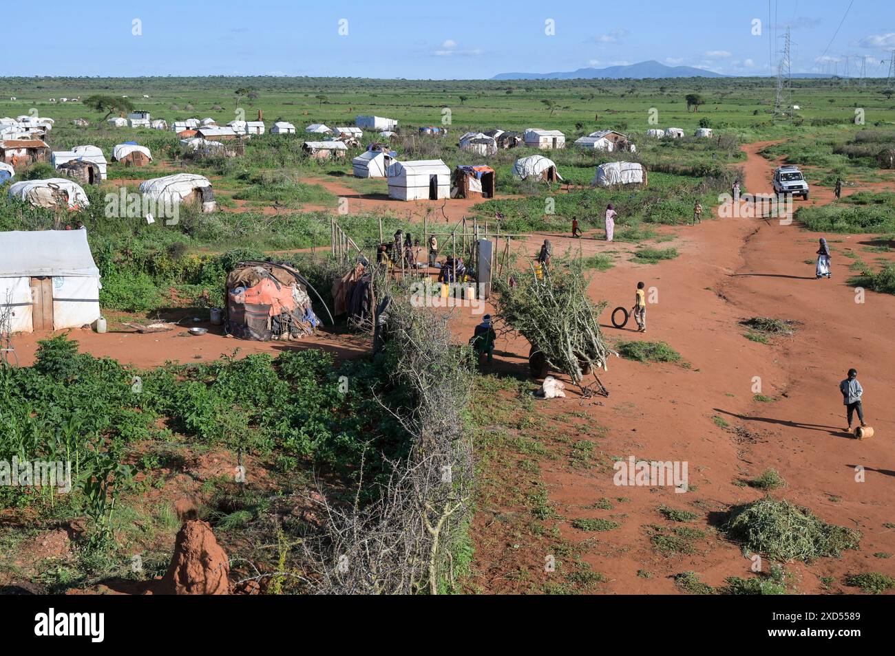 Habitat loss in ethiopia hi-res stock photography and images - Alamy