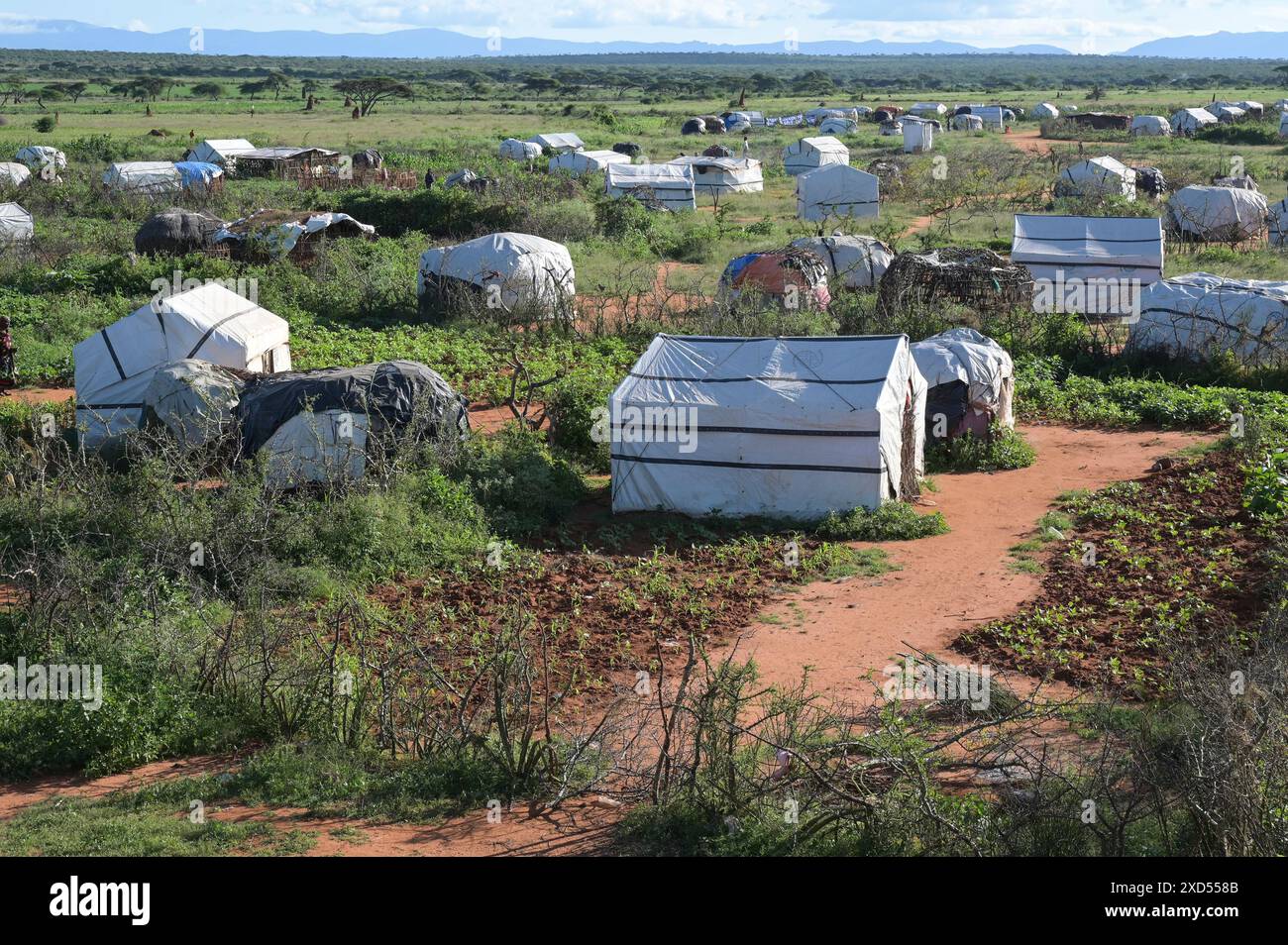ETHIOPIA, Oromia state, Dubuluk, Borana tribe, after years of drought ...