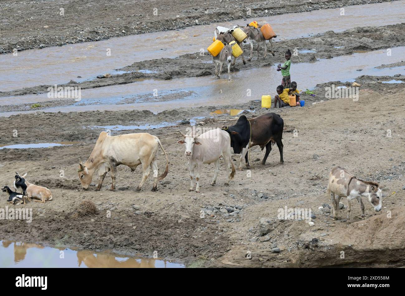 ETHIOPIA, region South Ethiopia, Gato, small river after rainfall ...