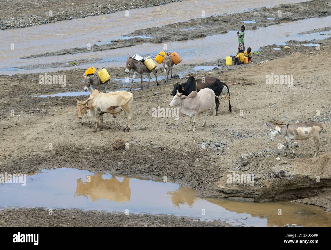 ETHIOPIA, region South Ethiopia, Gato, small river after rainfall ...