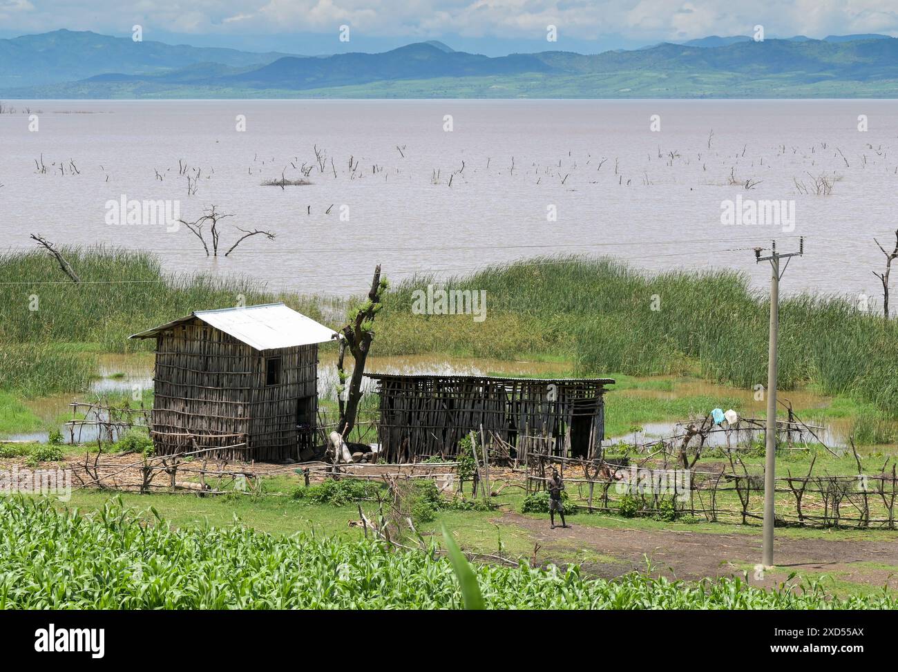 ETHIOPIA, region South Ethiopia, flooding at Chamo lake, farm with ...