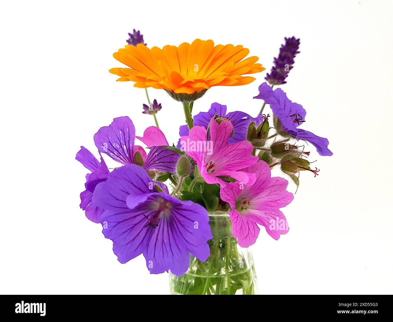 Colourful marigold and purple geranium flowers in a vintage glass jar ...