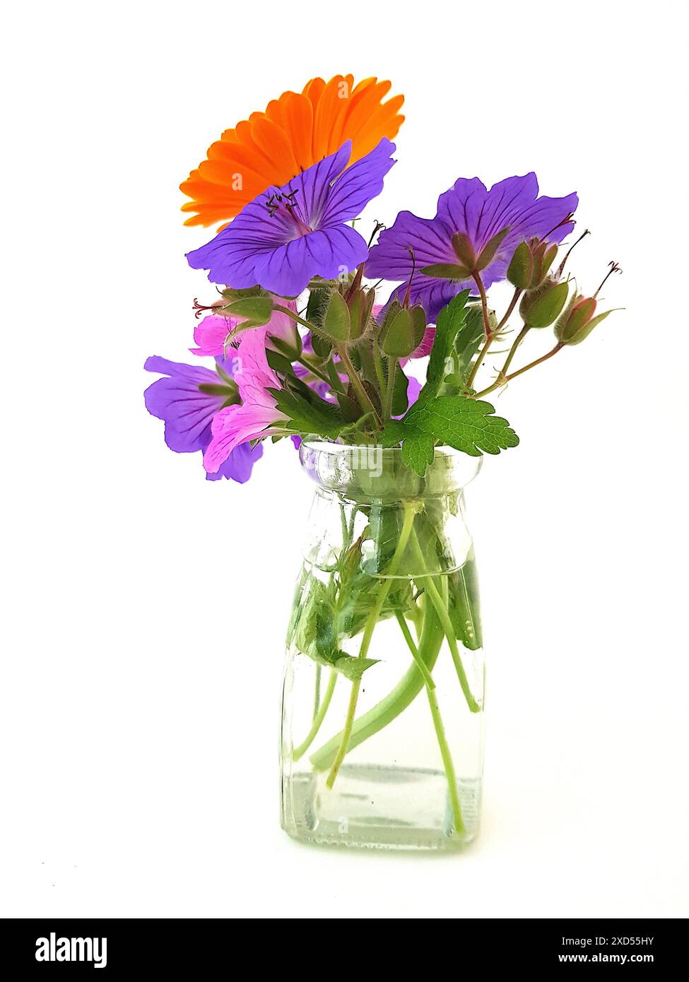 Colourful marigold and purple geranium flowers in a vintage glass jar ...