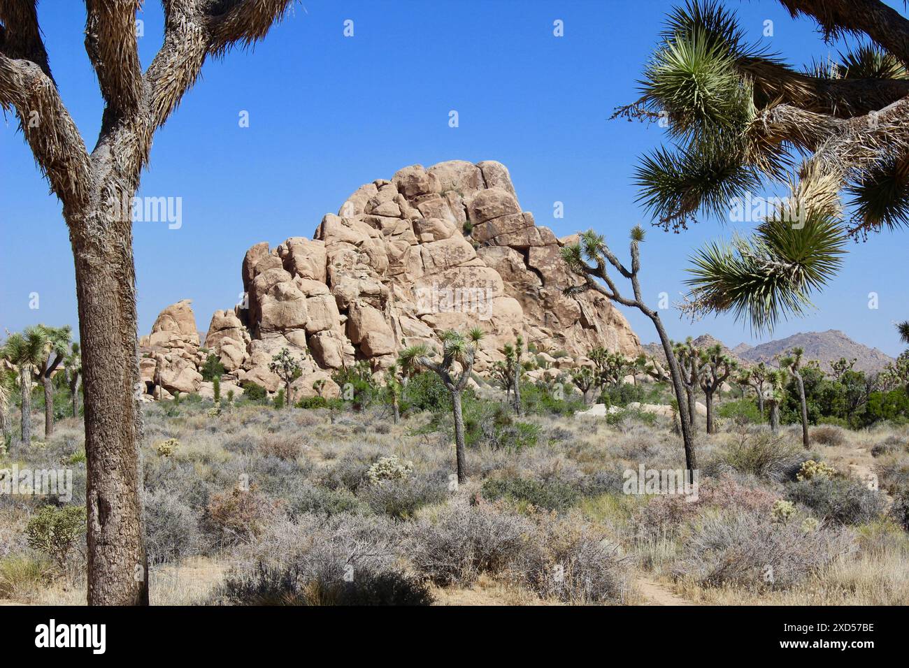 Monzogranite formation hi-res stock photography and images - Alamy