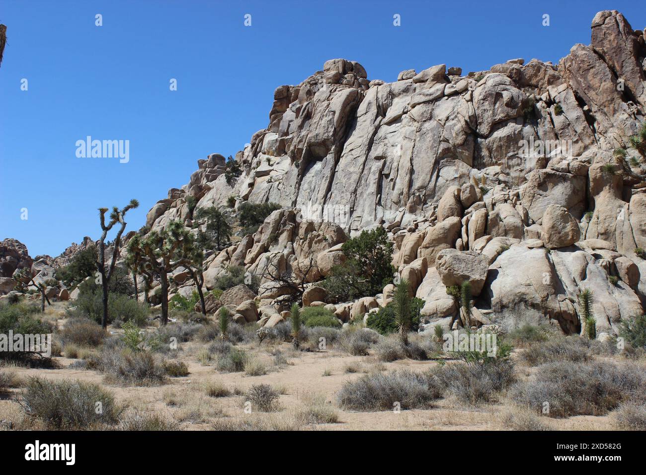 Hemingway Buttress, Joshua Tree National Park, California Stock Photo ...