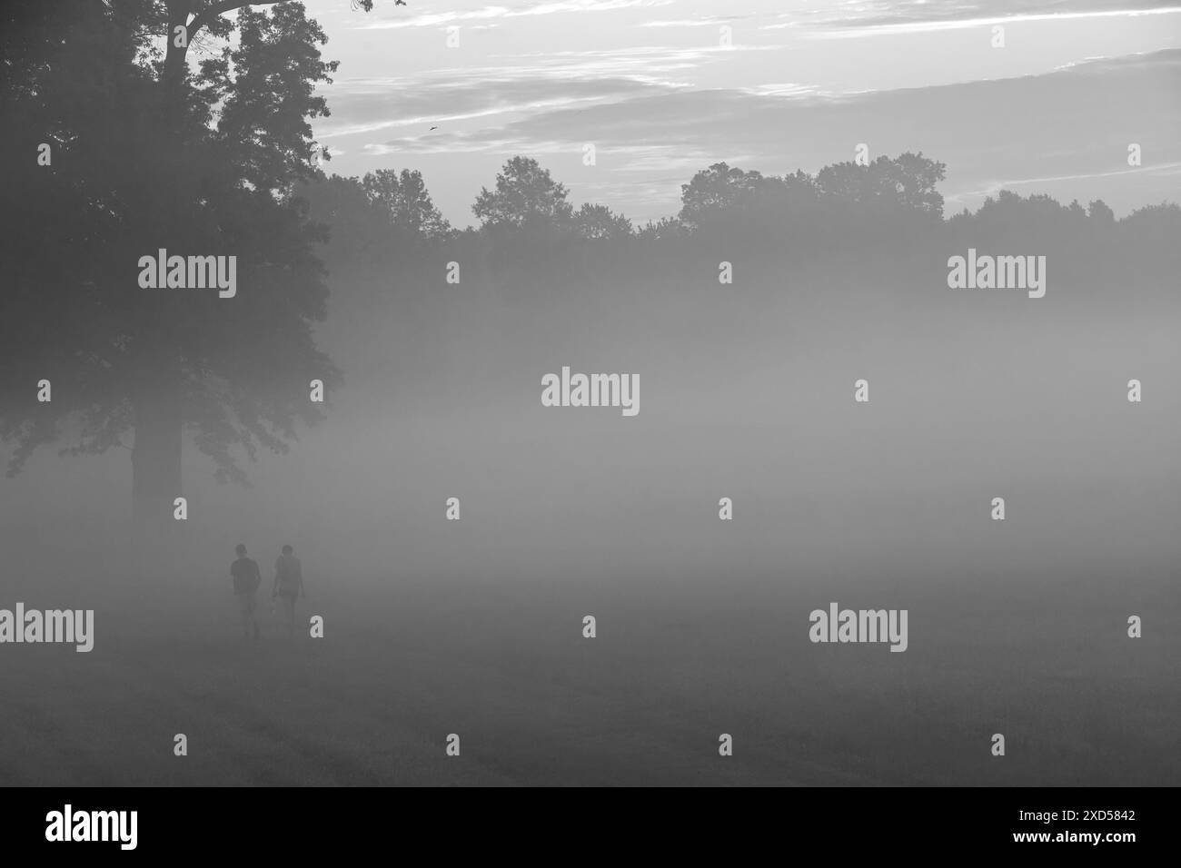 Grayscale walk hi-res stock photography and images - Alamy
