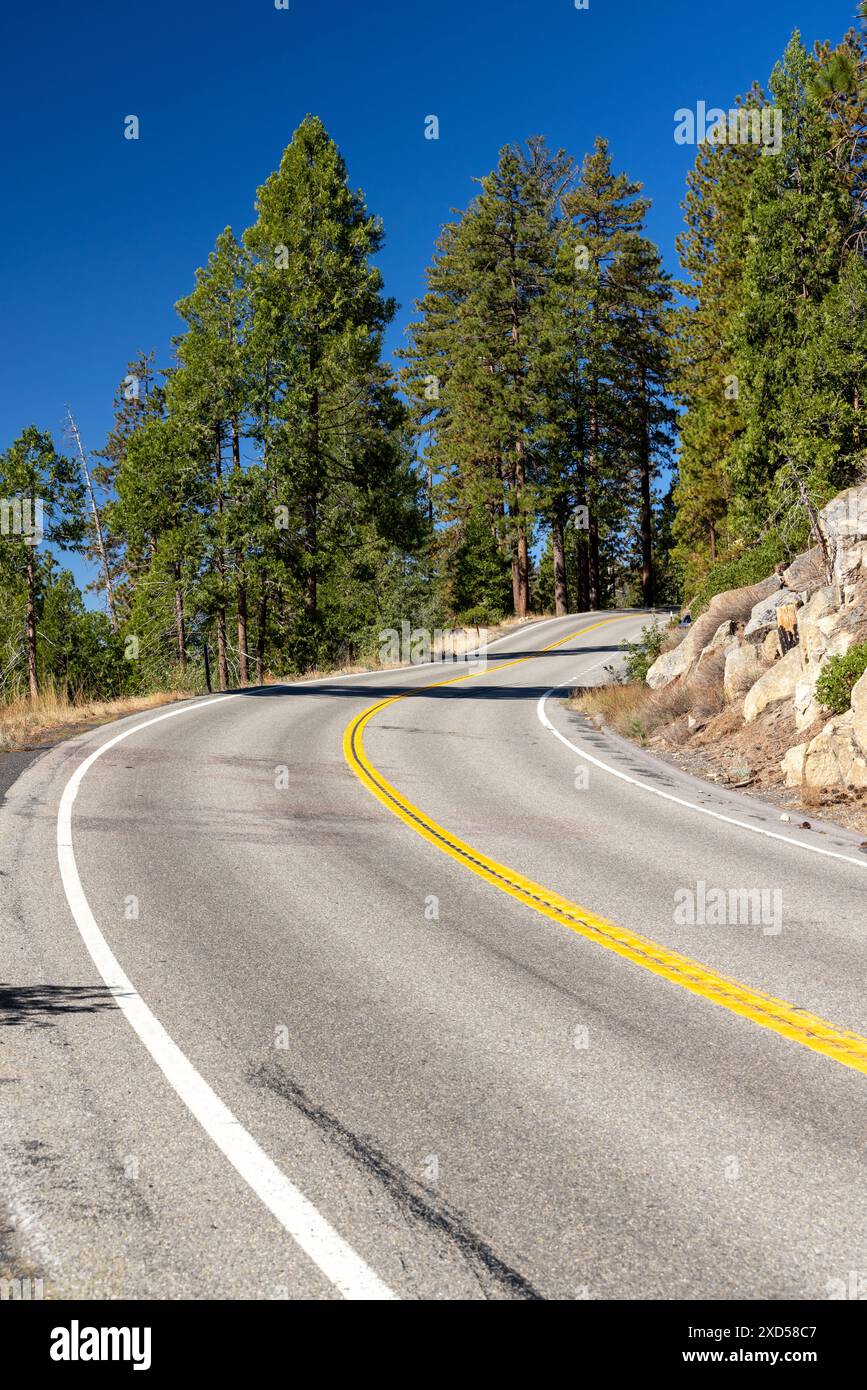 Asphalt curve road through forest. Yosemite national park, California ...