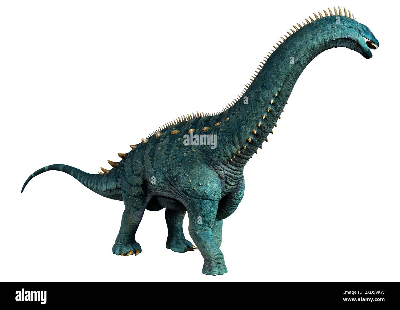 3D rendering of a dinosaur Alamosaurus isolated on white background ...