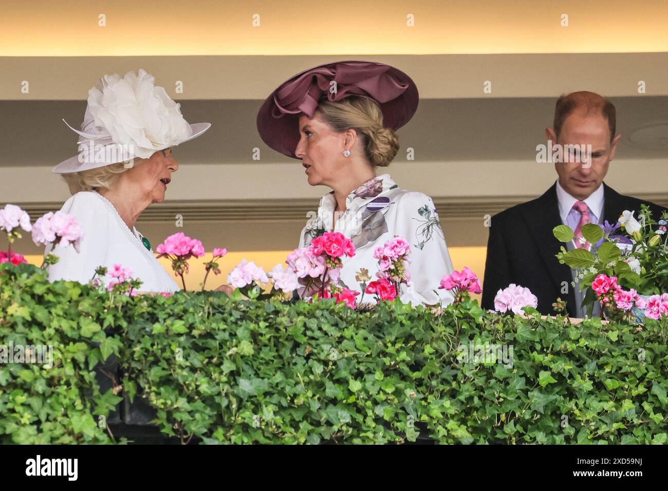 Ascot 2024 duchess of edinburgh hi-res stock photography and images - Alamy