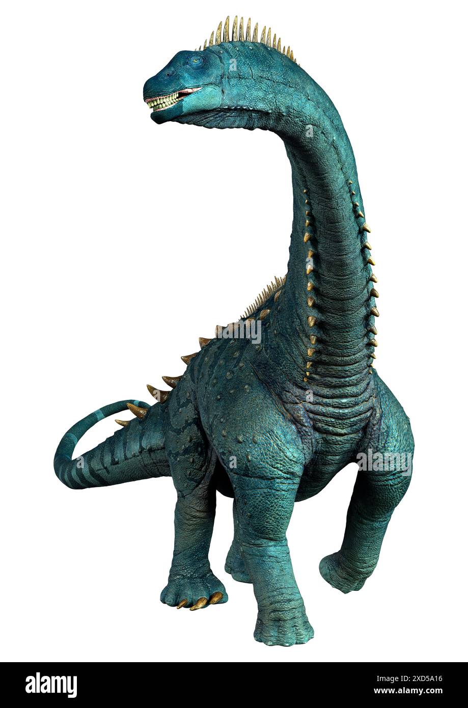 3D rendering of a dinosaur Alamosaurus isolated on white background ...